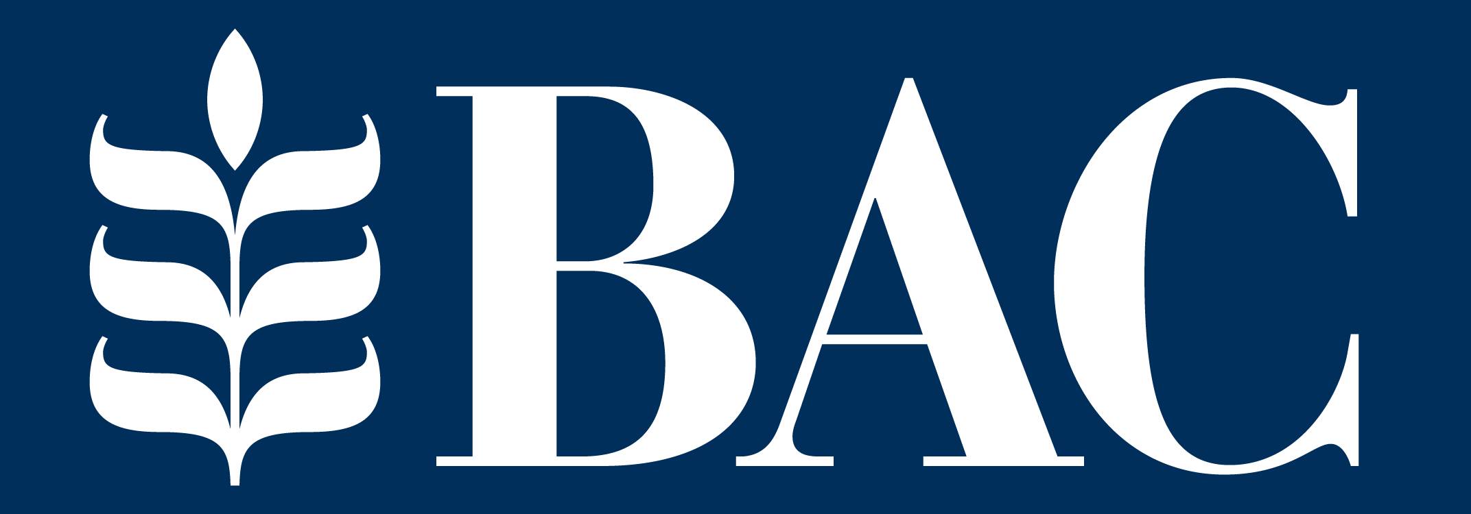 Attenzione al Phishing - BAC San Marino